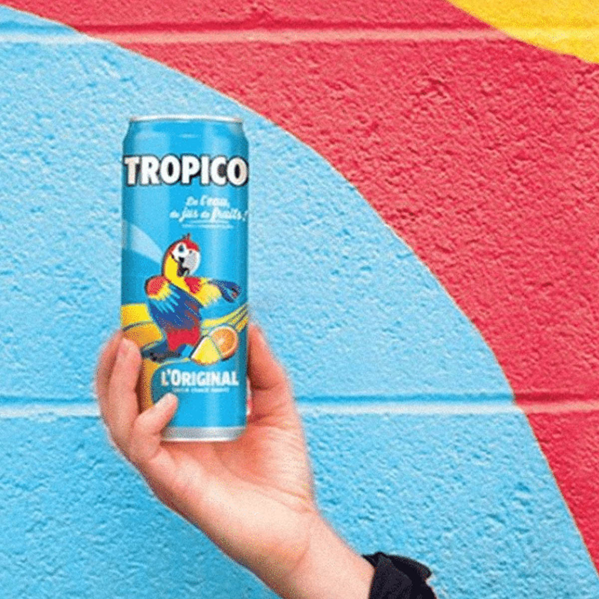 Tropico Original Jus de Fruit en Cannette de 33 cl par 24 : Achat en ...