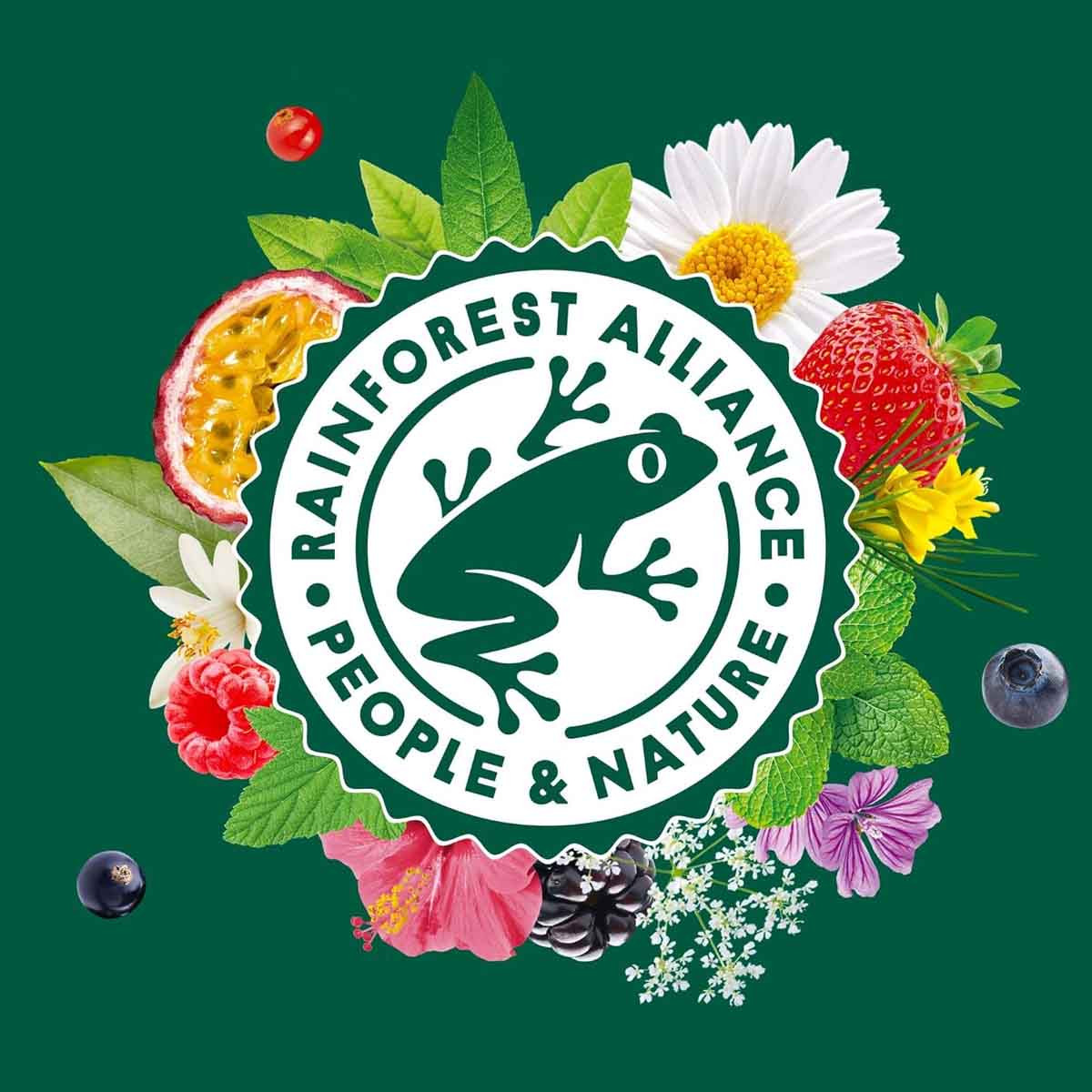 Infusion Éléphant Fruits Rouges Menthe - 20 sachets pyramide