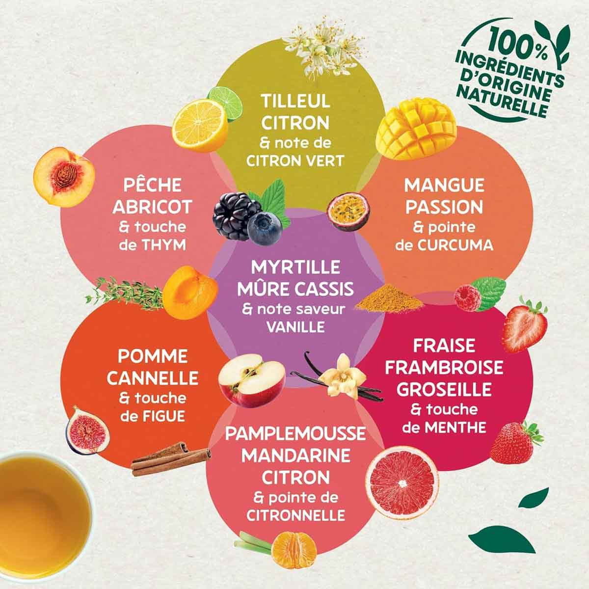 Infusion Éléphant Fruits Rouges Menthe - 6x120 sachets pyramide