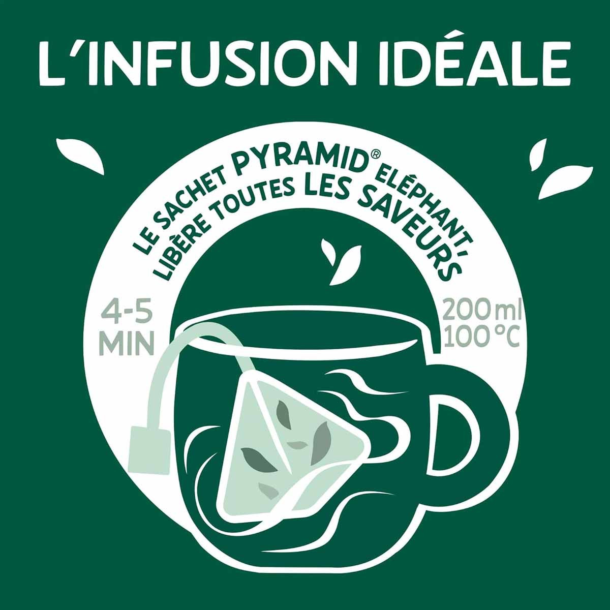 Infusion Éléphant Tilleul Citron et Citron Vert - 6 x 120 sachets
